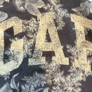 GAP | Shirts & Tops | Gap X Love Shack Fancy Colab Hoodie Size 2 T ...